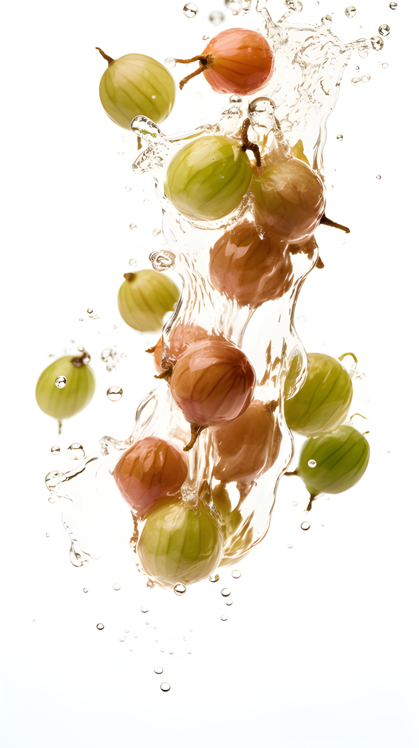Gooseberries in water on a white background - Impossible Images ...