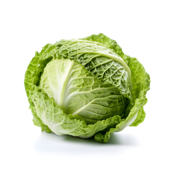 Perfect cabbage on white background - Impossible Images - Unique stock ...